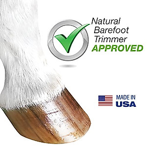 Plughz Healthy Hoof Glaze Hoof Dressing Hoof Shine