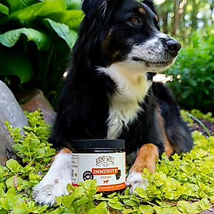 Hemp Well Immune + Allergy Support Dog Soft Chews with Functional Mushrooms and Hemp - 60 Count, Dog Allergy Relief, Itch Relief for Dogs - Dog Vitamins and Supplements for Digestive and Skin Support