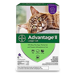 Bayer Advantage II Flea Prevention for Large Cats 6 Doses, 6 Months Supply 2 Pack Bundle