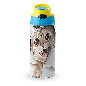 Thermos Cup 500Ml Cartoon Cat Insulated Water Bottle With Straw For Sports And Travel