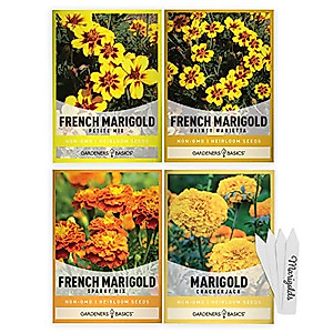 Marigold Seeds for Planting Outdoors (4 Variety Pack) French Marigold Petite Mix, Dainty Marietta, Sparky, and African Marigold Seeds Crackerjack for Pollinators Wildflower Seed by Gardeners Basics