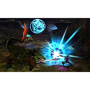 Heroes of Ruin - Nintendo 3DS (Renewed)