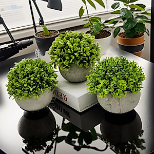 VeKker Stylishly Elevate Your Space with Artificial Potted Plants - Perfect for Home & Office Decor, Bathrooms, and Small Spaces