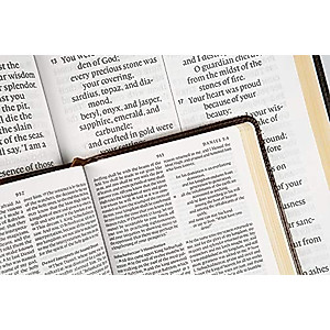 ESV Super Giant Print(Font Size - 17pt) Bible (TruTone, Black)