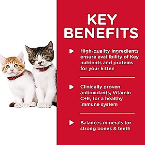 Hill's Science Diet Wet Cat Food, Kitten, Liver & Chicken Recipe, 5.5 oz. Cans, 24-Pack