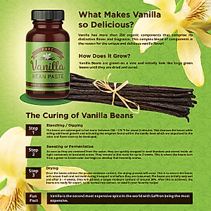 Vanilla Bean Paste for Baking and Cooking - Gourmet Madagascar Bourbon Blend made with Real Vanilla Seeds - 8 Ounces