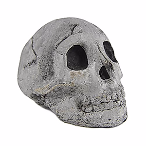 Myard Fireproof Imitated Human Fire Pit Skull Gas Log for NG, LP Wood Fireplace, Firepit, Campfire, Halloween Decor, BBQ (Qty 1, White - Adult, One Piece)