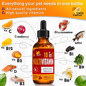 Cat Glucosamine | Dog Joint Supplement Liquid | Cat Vitamin | Dog Vitamin | Glucosamine for Cats and Dogs | Cats and Dog Vitamins and Supplements | Bundle
