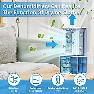 68oz 7900 Cubic Feet（810 Sq.ft）Dehumidifiers for Home Bathroom Room Basements,Quiet Dehumidifier With Drain Hose & Auto Shut Off, Portable Small Dehumidifiers for Bedroom Closet RV