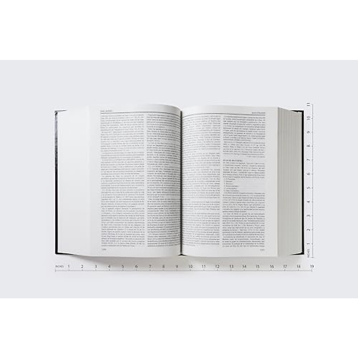 Gran diccionario enciclopédico de la Biblia (Spanish Edition)