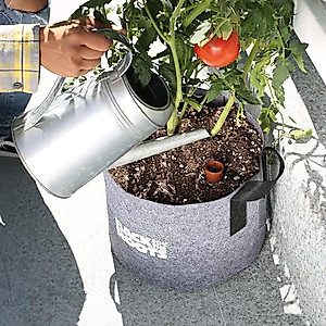 Back to the Roots Self-Watering Terracotta Olla Pot, 700mL Provides 1 Week of Precision Watering