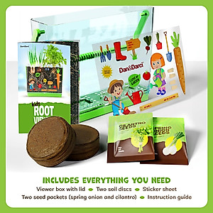 Root Viewer Kit for Kids - Easter Gifts - Grow Your Own Plant for Boys & Girls - Science STEM Toy & Craft Growing Kits for Ages 4-8 Birthday Gifts for Boy, Girl 4, 5, 6, 7, 8, Year Old - Gardening Toy