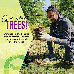 EcoSlurps 12 Bamboo Toothbrushes Multipack - One Years Supply of Bamboo Toothbrush - Bulk Biodegradable toothbrushes (12 Adult Medium, Multi-Colored)