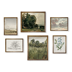 Vintage Boho Farmhouse Wall Art - Neutral Green Wall Print for Bathroom Kitchen Bedroom - Nature Plant Poster Picture for Room Decor, Botanical Drawing, French Country Cottagecore Aesthetic Art Set 6