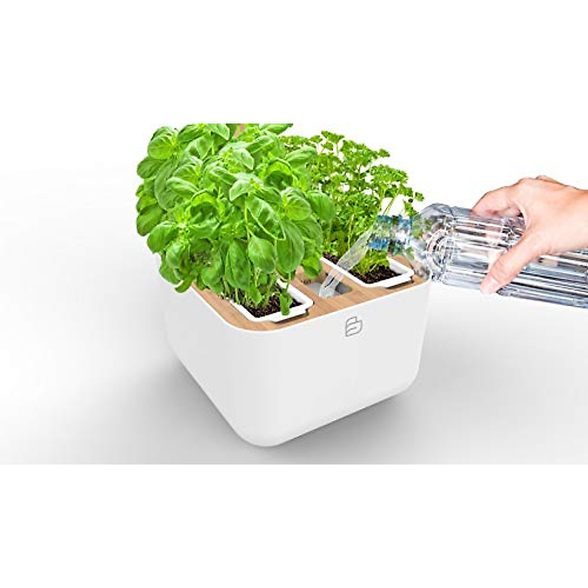 Véritable Botaneo Eylo Garden - Indoor Garden - Kit with 2 Lingot Automatic LED Lighting