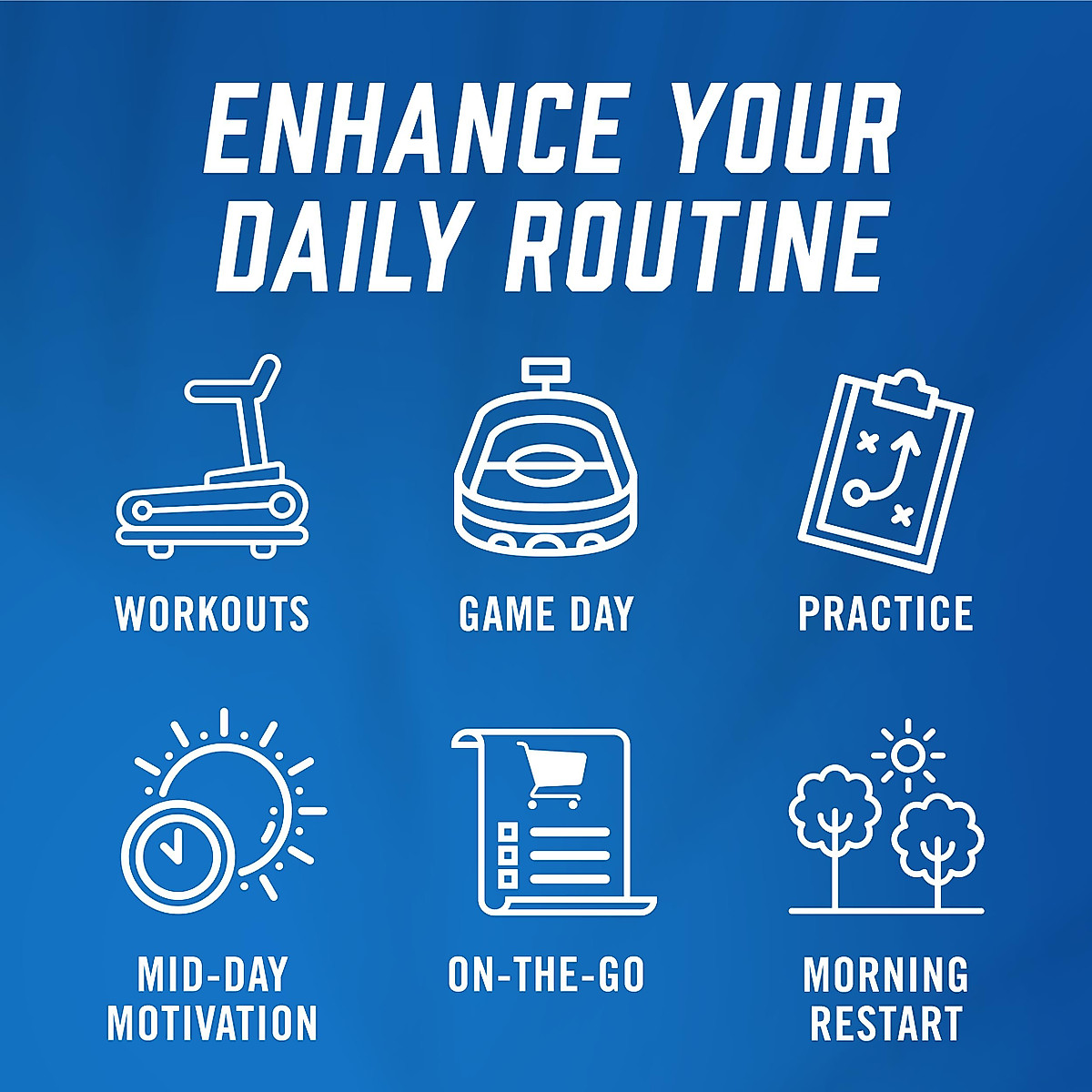 BioSteel Sports Drink, Great Tasting Hydration with 5 Essential Electrolytes, Blue Raspberry Flavor, 16.7 Fluid Ounces, 12-Pack