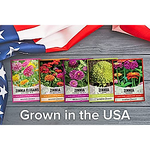Zinnia Seeds for Planting Outdoors Flower Seeds (5 Variety Pack) Thumbelina, Lilliput, Envy, Purple Prince and Pompon Varieties for Butterflies, Bees, Pollinators Wildflower Seed by Gardeners Basics