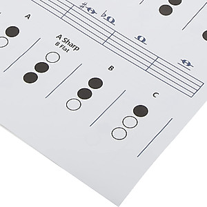 Trumpet Chord Chart Chords Reference Poster Scales Reference Fingering Practice Chart(Trumpet Chord Chart (Large Size))