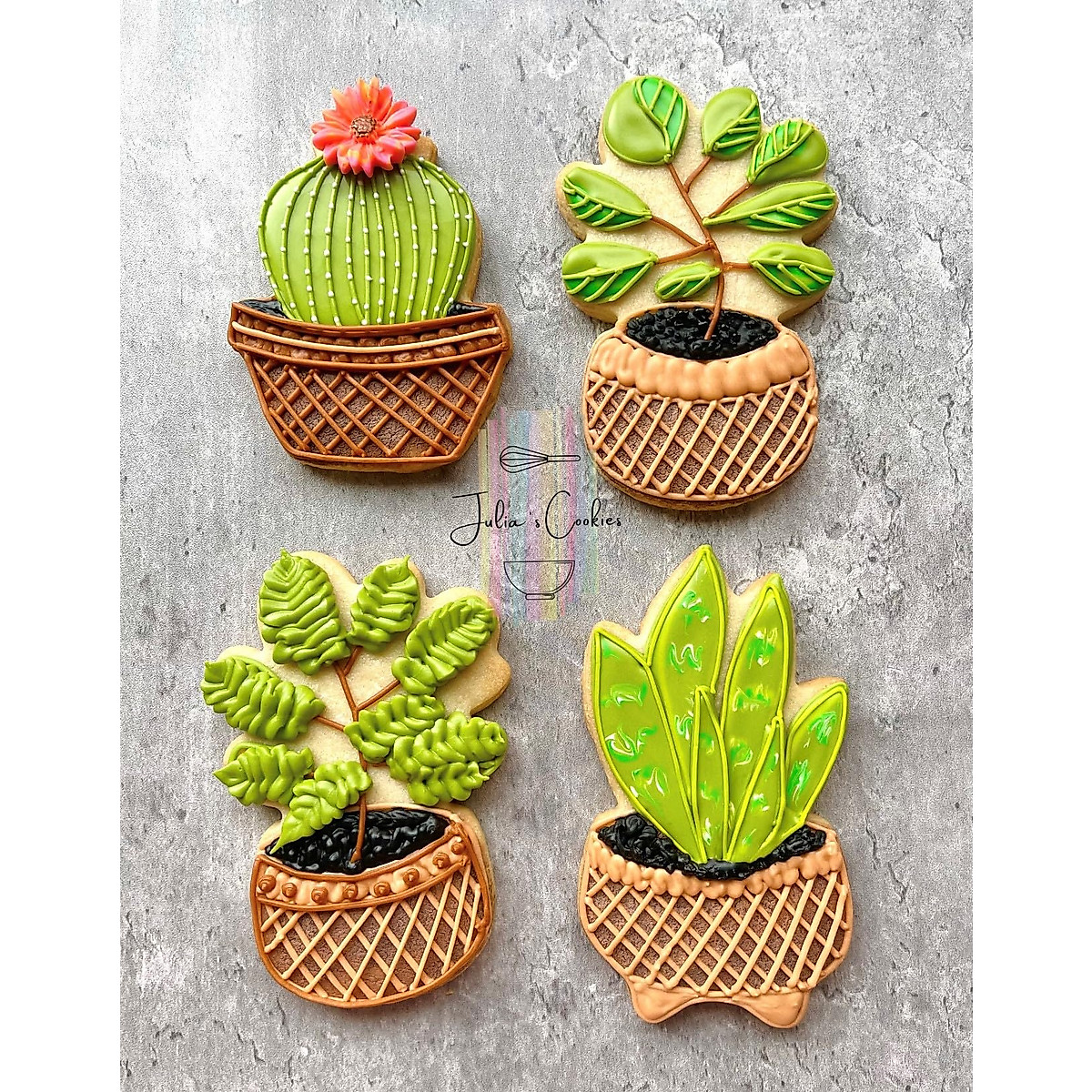 Tropical Houseplants Cookie Cutters 3-Pc. Set Made in the USA by Ann Clark, Fiddle Fig, Snake Plant, and Prickly Pear Cactus