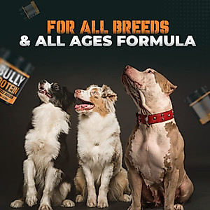 MBF SUPPLEMENTS Bully Protein & Vitamins for Dogs with Toy, 238mg Growth & Mass Gainer Supplement, 30 Days Supply Muscle Up Max for Pitbull, Bully and Bulldog