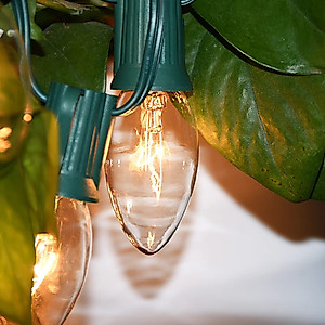 Pallerina 25 Pack C9 Clear Incandescent Bulbs, C9 Christmas Light Bulbs Replacement Light Bulb, 7 Watt Night Light Bulbs C9/E17 Intermediate Base, Candle Light Bulbs