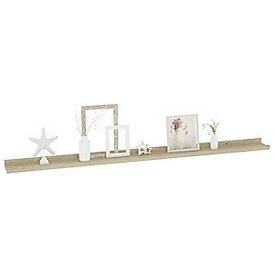 HFERTW Floating Shelves Wall Mounted Set of 2, Modern Shelves for Bedroom, Nursery Shelves, Display Picture Ledge Shelf for Wall Decor Living Room Bathroom Kitchen