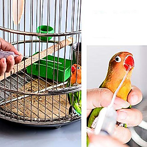 V-Cheetong Birds Pet Feeder Parrot Feeding Syringe with Anti-Slip Tube,Hand Feeding Food for Baby Birds Animals Care Tool Set for Peony Cockatiel Parrot