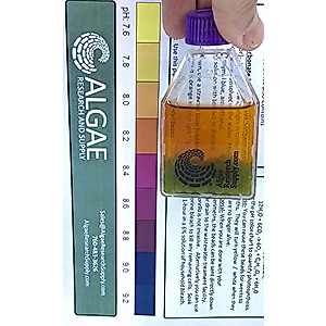 Algae Research and Supply: Algae Beads (Ready-to-go Algae Beads in Indicator- snap vials (x100))