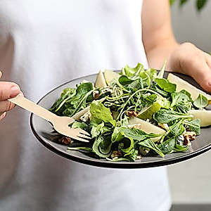 Sihuuu Disposable Wooden Forks, Natural Birch Wood Forks, Cutlery Taster, Green Plain Forks(100 PCS)