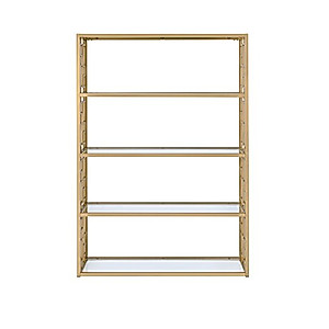 ACME Blanrio Bookshelf - - Gold & Clear Glass