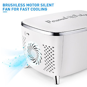 Personal 6 Liters Mini Skincare Fridge, Cosmetic Fridge, Portable Makeup Cooler Refrigerator for Beauty Products, Beverage, Bedroom, Home, Office