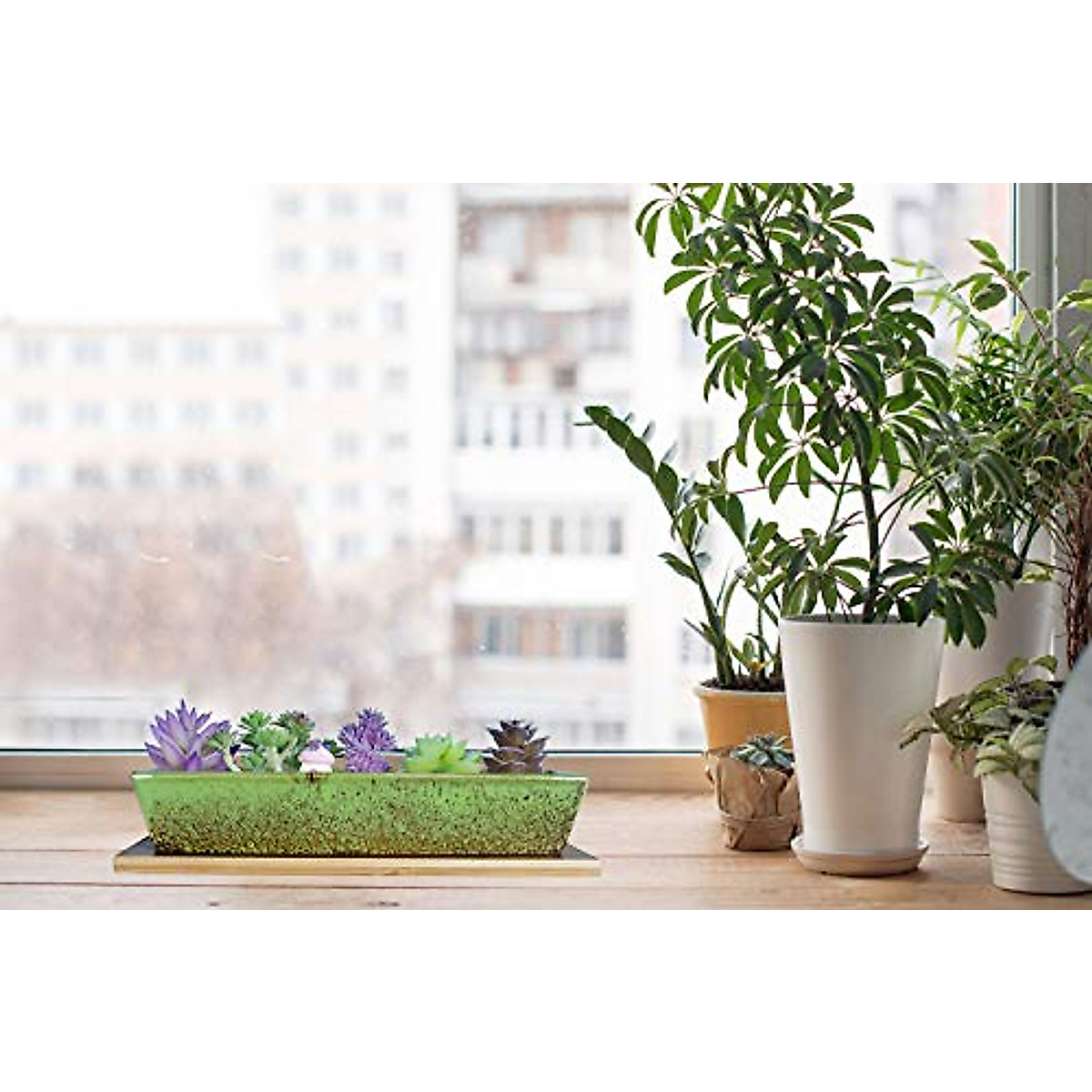 ARTKETTY Succulent Pots, 9.8 Inch Ceramic Succulent Planters with Drainage Small Bonsai Pot with Bamboo Tray, Mini Cactus Flower Planter Pot Shallow Rectangular Window Planters for Indoor Plants