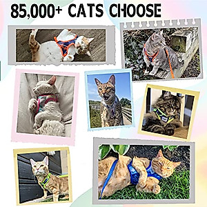 Supet Cat Harness and Leash Set Stylish Escape Proof Cat Vest Harness Adjustable Breathable Pet Harness with Reflective Trim Step-in Cat Leash and Harness for Cats Puppies