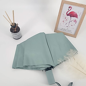 W.L Umbrella for Rain Windproof Parasol Umbrella for Sun Compact Umbrella Folding Umbrella Automatic Open UV-Protection Lightweight Large and Portable (Mint Green)