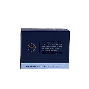 Trapp - No. 20 Water - 3.75 oz. Small Poured Candle - Aromatic Home Fragrance with Fresh Scent of Fresh Ozone, Aqueous Notes, & White Florals Notes - Soy Wax Blend