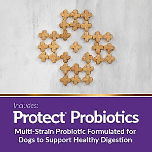 Veterinary Select Protect Puffs Joint Care, 1.25 Pound (Pack of 1)