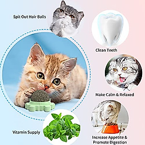 Catnip Balls for Cats Wall, 3 Pack Edible Cat Nip Ball Products for Cats Kitty Chew Toy, Rotatable Interactive Cat Kitten Toys of Indoor Cats for Teeth Cleaning, Health and Cat Wall Treat (GREEN)