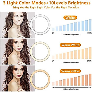 10" Selfie Ring Light with Tripod Stand with Phone Holder, SUMCOO Dimmable LED Beauty Ringlight for Makeup/Live Stream/TikTok/YouTube Video, Compatible with iPhone, Android Phone