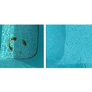 ATIE Pool Pumice Stone with EZ-Clip Handle to Reomve Erase Rust Stain Spot in Concrete Plaster Pool Spa and Calcium Deposit on Pool Tile (2 Pack)