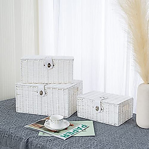 Homepeaz Set of 3 Woven Wicker Storage Basket Box with Lid & Lock, Built-in Carry Handles, Multifunctional Storage Organiser for Nursery, Baby, Clothes, Toys, Books, Large/Medium/Small Size (White)