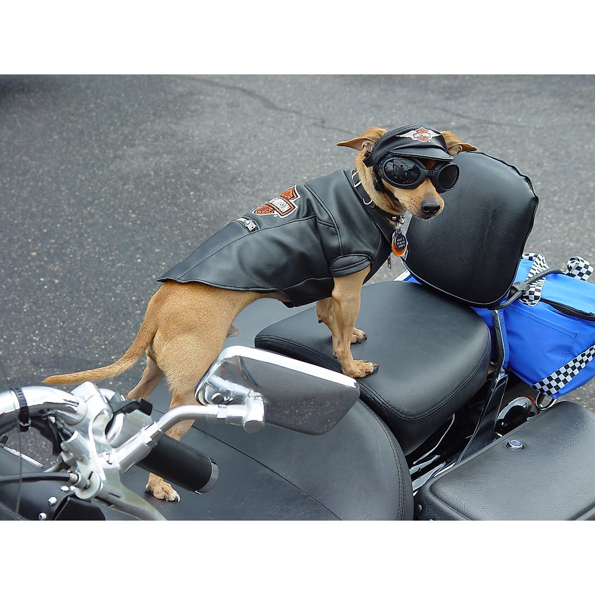 Skidmore's Biker Edition Leather Cream | All Natural Non Toxic Formula is a Cleaner and Conditioner, Protects Your Motorcycle Leather | Made in USA