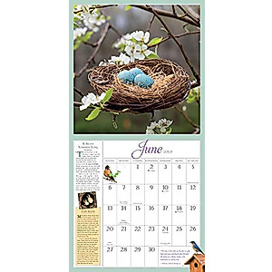 Audubon Birds in the Garden Wall Calendar 2021