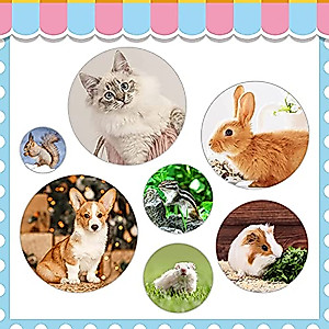 Rabbit Grooming Kit, Rabbit Brush for Shedding with Bunny Nail Clipper, Rabbit Nail Trimmers with Pet Combs for Hamster Guinea Pig Ferret by KALAMANDA(6 Pack)