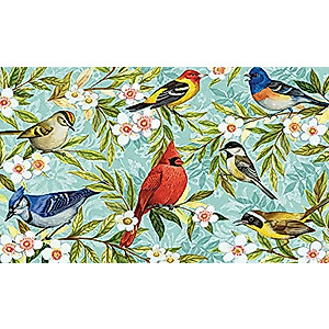 Toland Home Garden 800046 Bird Collage Spring Door Mat 18x30 Inch Bird Outdoor Doormat for Entryway Indoor Entrance
