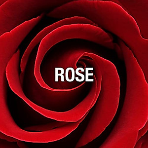 White Shoulders Women's Fragrance 3 Piece Gift Set, 4.5 fl. oz. Eau de Cologne