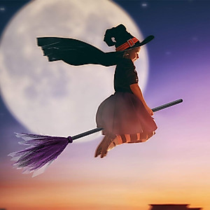 FEPITO 4 Pcs Halloween Witch Broom Wicked Witch Costume Accessories Witch Decorations Broomstick for Halloween Costumes Party