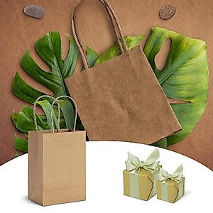 TOWRAP Small Gift Bags Bulk 100Pcs 5.25x3.75x8 Inch with Handles Brown Kraft Paper Bags,Party Bags, Shopping Bags,Retail Bags,Merchandise Bags,Favor Bags,Business Bags