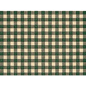 Printed Tissue Paper for Gift Wrapping with Design (Tan and Green Gingham), 24 Large Sheets (20x30)