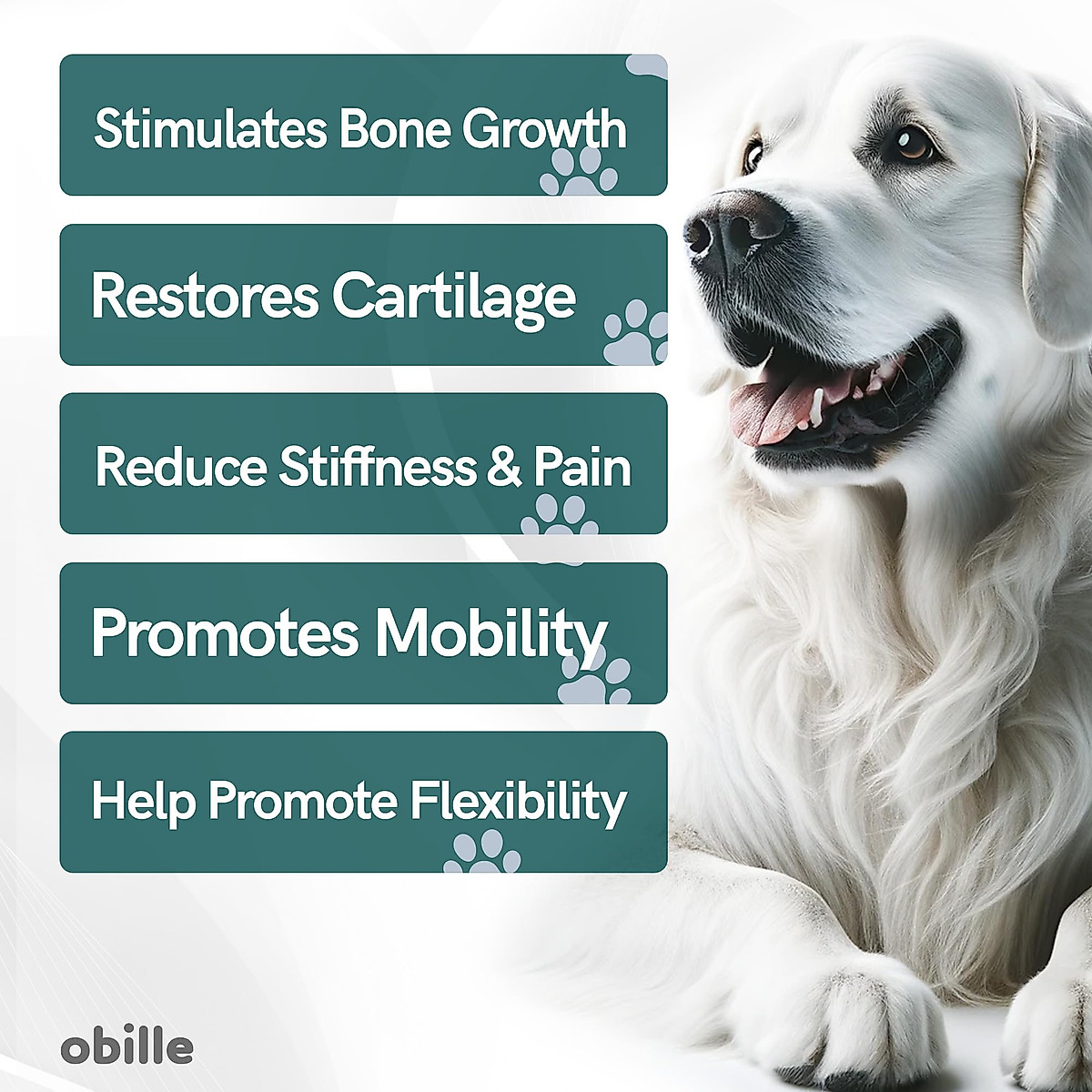 Obille Hip & Joint Hemp for Dogs 160 Chews 12oz – Joint Supplement for Dogs, Stimulates Bone Growth, Restores Cartilage, May Helps Reduce Stiffness & Pain Levels