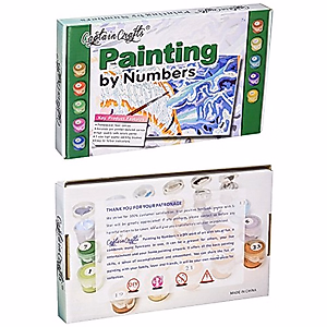 CaptainCrafts New DIY Paint by Numbers 16x20 " for Adults Beginner Kit, Kids Linen Canvas - Street View, The Beatles Band (Frameless)